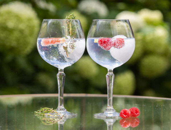 Pink Gin Tonic - Cocktailicious.nl